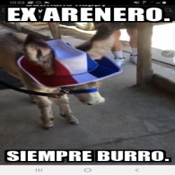 Meme Personalizado - Ex arenero. Siempre burro. - 31384680
