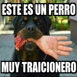 Meme Personalizado - ESTE ES UN PERRO MUY TRAICIONERO - 31385641