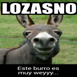 Meme Personalizado - LOZASNO - 31385652