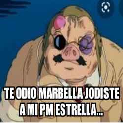 Meme Personalizado - TE odio marbella jodiste a mi pm estrella ...