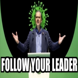 Meme Personalizado - FOLLOW YOUR LEADER - 31386704