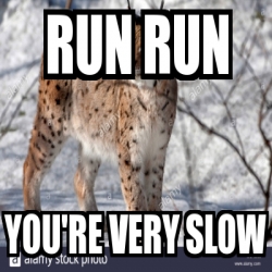 Meme Personalizado - run run you're very slow - 31387089