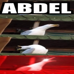 Meme Personalizado - Abdel - 31387864