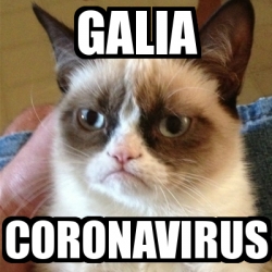 Meme Grumpy Cat - galia coronavirus - 31388256