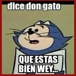 Meme Personalizado - QUE ESTAS BIEN WEY... - 31389186