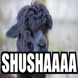 Meme Personalizado - Shushaaaa - 31389273