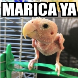 Meme Personalizado - Marica ya - 31390443