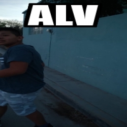 Meme Personalizado - Alv - 31392447