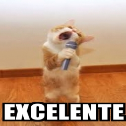 Meme Personalizado - EXCELENTE - 31394500