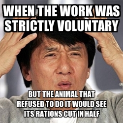 Meme Jackie Chan - When the work was strictly voluntary But the animal ...