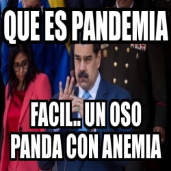 Meme Personalizado - Que es pandemia Facil.. Un oso panda con anemia ...