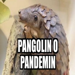Meme Personalizado - pangolin o pandemin - 31399383