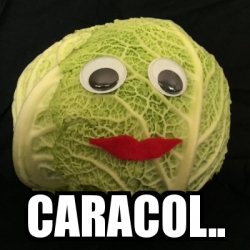 Meme Personalizado - Caracol.. - 31048853