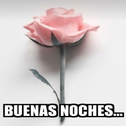 Meme Personalizado - Buenas Noches... - 31049141