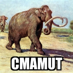 Meme Personalizado - Cmamut - 31406989