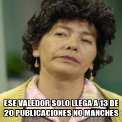 Meme Personalizado - ESE VALEDOR SOLO LLEGA A 13 DE 20 PUBLICACIONES NO ...