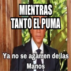 Meme Personalizado - Mientras tanto el puma - 31414464