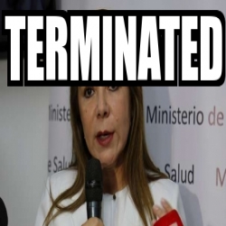 Meme Personalizado - TERMINATED - 31418231