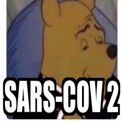 Meme Personalizado - SARS-COV 2 - 31422836
