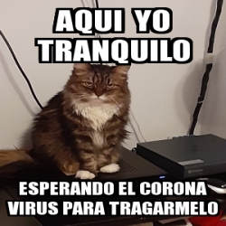 Meme Personalizado - AQUI YO TRANQUILO ESPERANDO EL CORONA VIRUS PARA ...