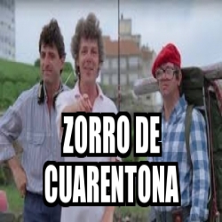 Meme Personalizado - Zorro de cuarentona - 31427104