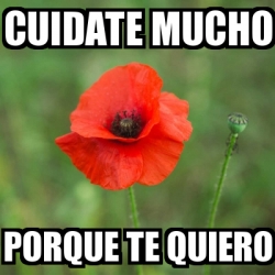 Meme Personalizado - cuidate mucho Porque te quiero - 31429744