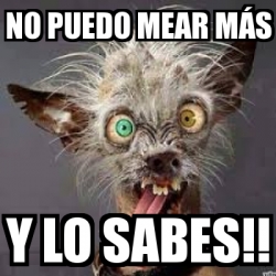 Meme Personalizado - no puedo mear mÃ¡s y lo sabes!! - 31430945