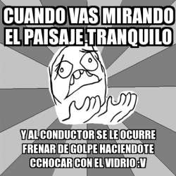 Meme Whyyy - cuando vas mirando el paisaje tranquilo y al conductor se ...
