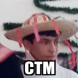 Meme Personalizado - Ctm - 31437129