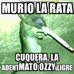 Meme Personalizado - Murio la rata Cuquera. La mato ozzy - 31441014