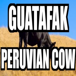 Meme Personalizado - Guatafak peruvian cow - 31441938