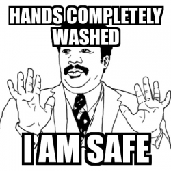 Meme Ay Si - Hands completely washed I am safe - 31445925
