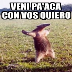 Meme Personalizado - veni pa'aca con vos quiero - 31447488