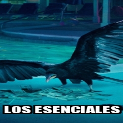 Meme Personalizado - Los esenciales - 31449416