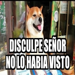 Meme Personalizado - DISCULPE SEÃ‘OR no lo habia visto - 31451572
