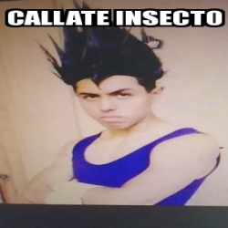 Meme Personalizado - Callate insecto - 31458141