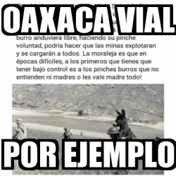 Meme Personalizado - Oaxaca vial Por ejemplo - 31458676