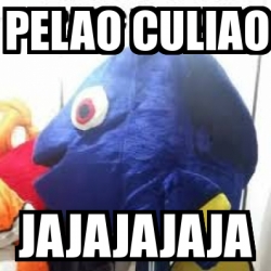 Meme Personalizado - pelao culiao jajajajaja - 31459975