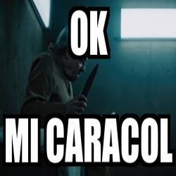 Meme Personalizado - Ok Mi caracol - 31461421