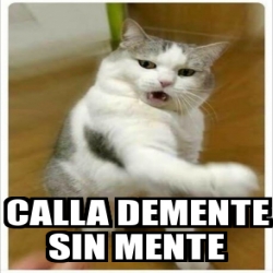 Meme Personalizado - Calla demente sin mente - 31462247