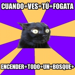 Meme Anxiety Cat - Cuando+ves+tÃº+fogata Encender+todo+un+bosque+ ...