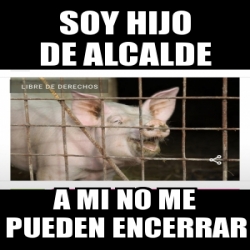 Meme Personalizado - SOY HIJO DE ALCALDE A mi no me pueden encerrar ...