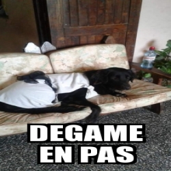 Meme Personalizado - Degame en pas - 31471563