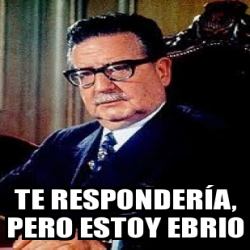 Meme Personalizado - Te responderÃ­a, pero estoy ebrio - 31474174