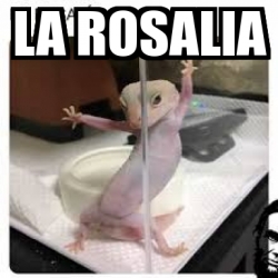 Meme Personalizado - la rosalia - 31481551