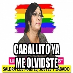Meme Personalizado - CABALLITO YA ME OLVIDSTE - 31481784