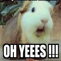 Meme Personalizado - Oh yeees !!! - 31482637