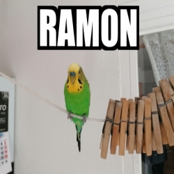 Meme Personalizado - RAMON - 31482993