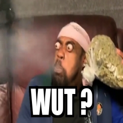 Meme Personalizado - Wut ? - 31484803