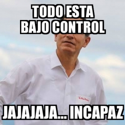 Meme Personalizado - todo esta bajo control jajajaja... incapaz - 31485244